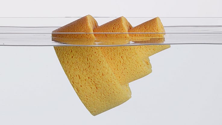 Designers from ECAL create sustainable sponge furniture that grows itself